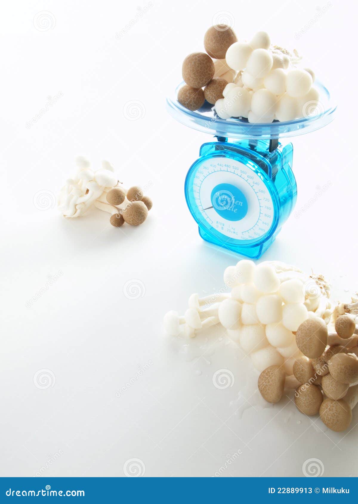 Scale for health stock image. Image of analyze, beautiful - 22889913