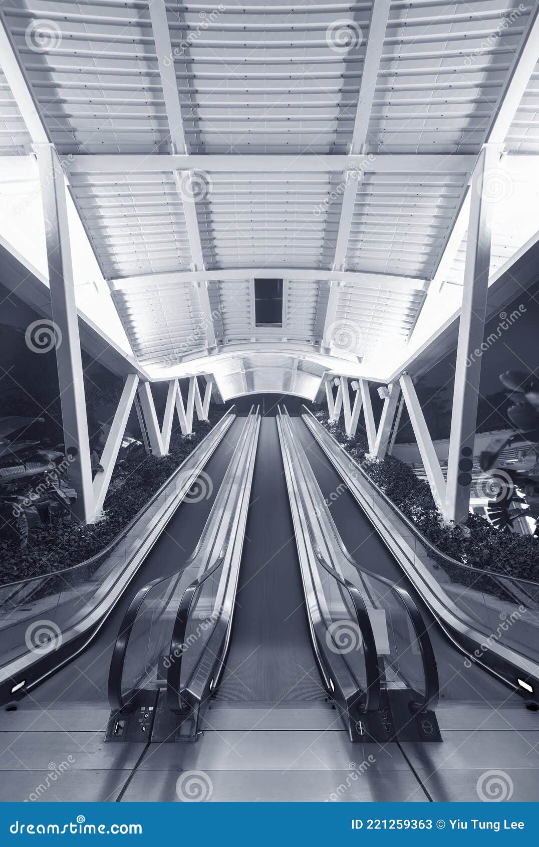 Scale Mobili E Scale Mobili in Architettura Moderna Immagine Stock ...