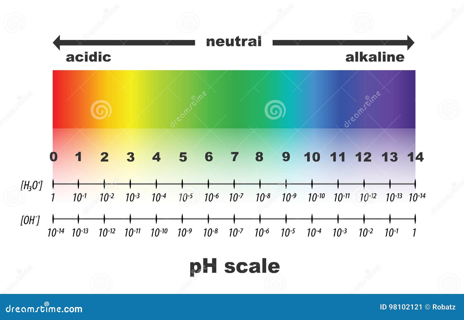 Scale of Ph Value for Acid and Alkaline Solutions Stock Vector ...