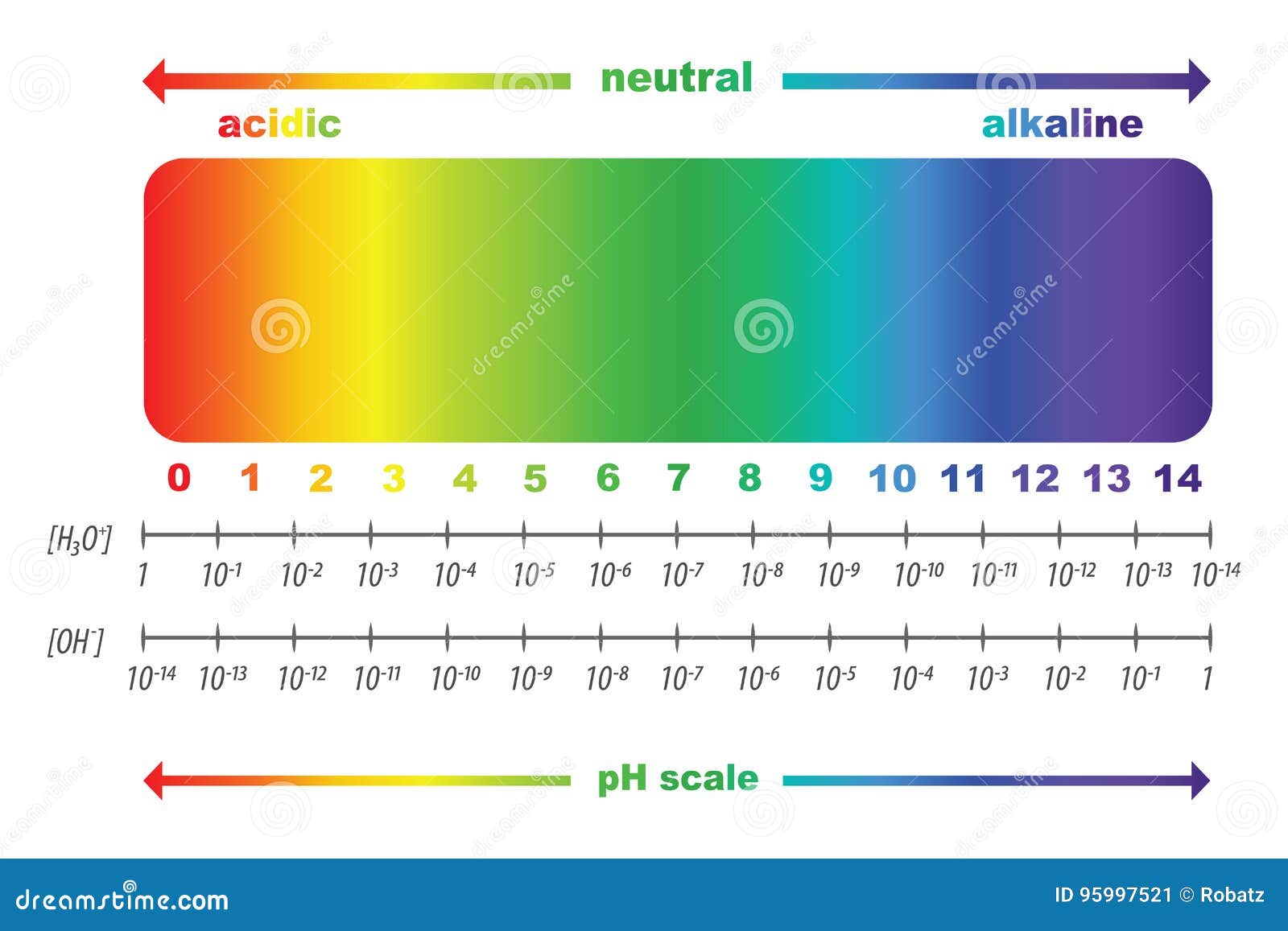 Scale of Ph Value for Acid and Alkaline Solutions Stock Vector ...