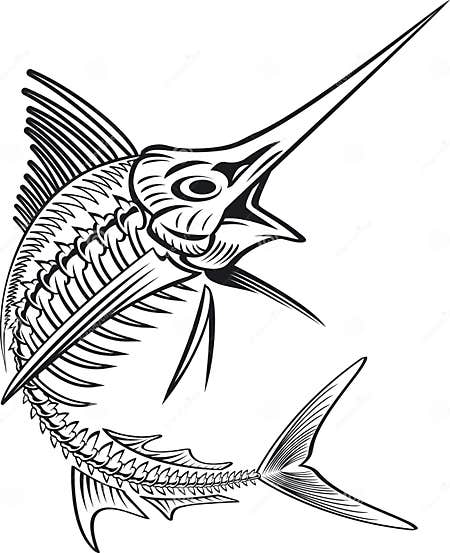 Vector Illustration of Skeleton Marlin Stock Vector - Illustration of ...