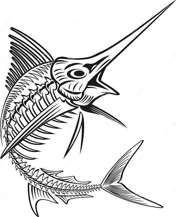 Vector Illustration of Skeleton Marlin Stock Vector - Illustration of ...