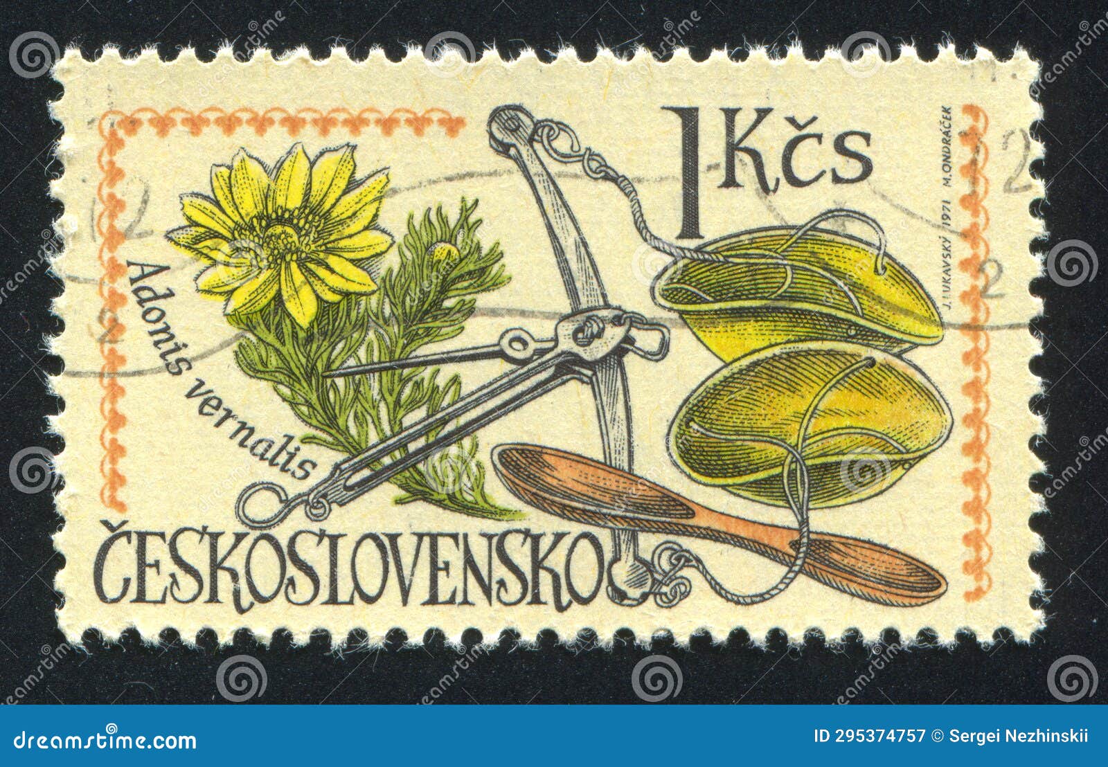 Scales and adonis vernalis editorial photography. Image of aged - 295374757