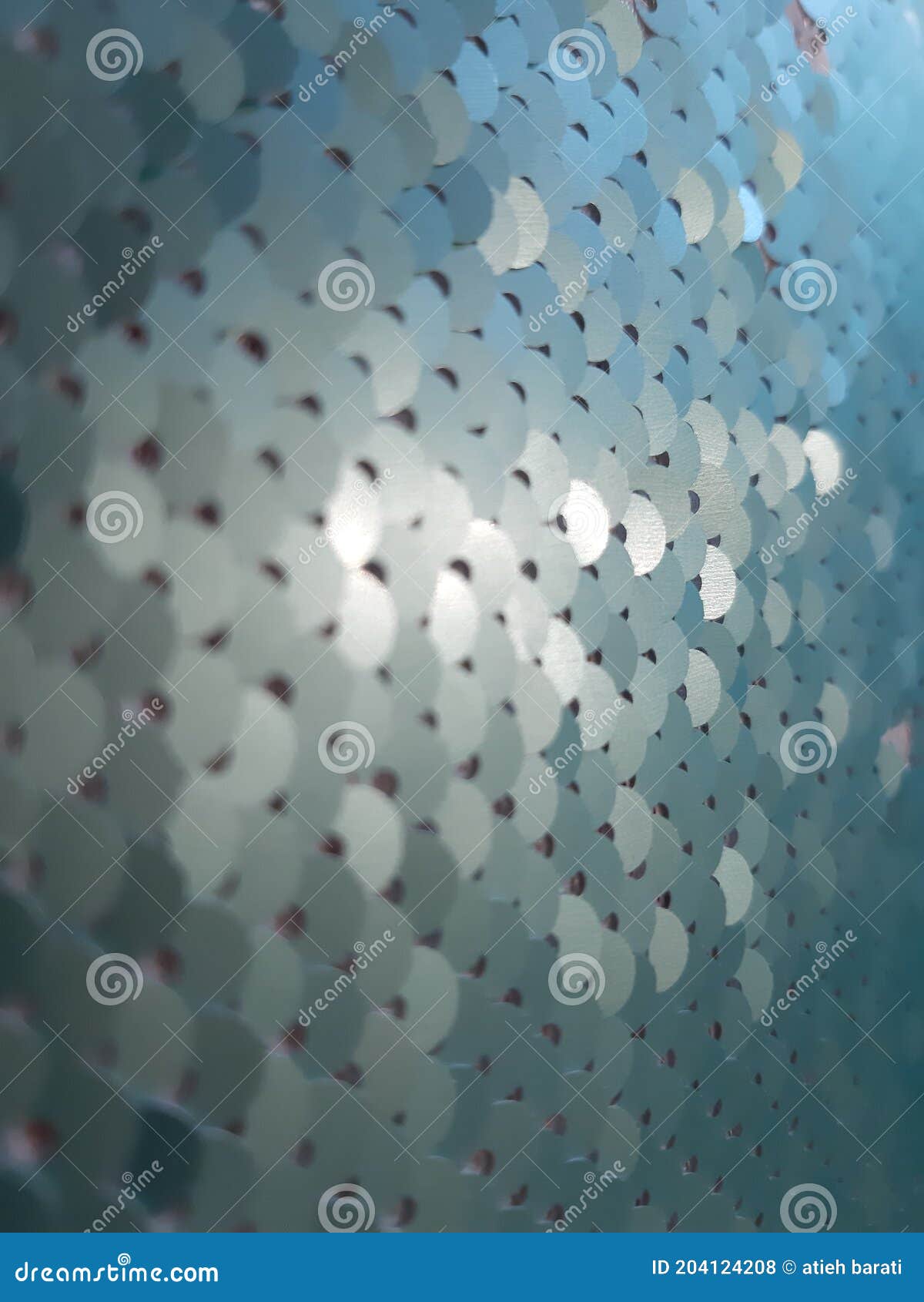 Shiny and beautiful scales stock photo. Image of azure - 204124208