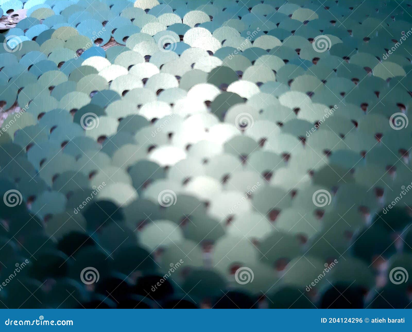 Shiny and beautiful scales stock photo. Image of direction - 204124296