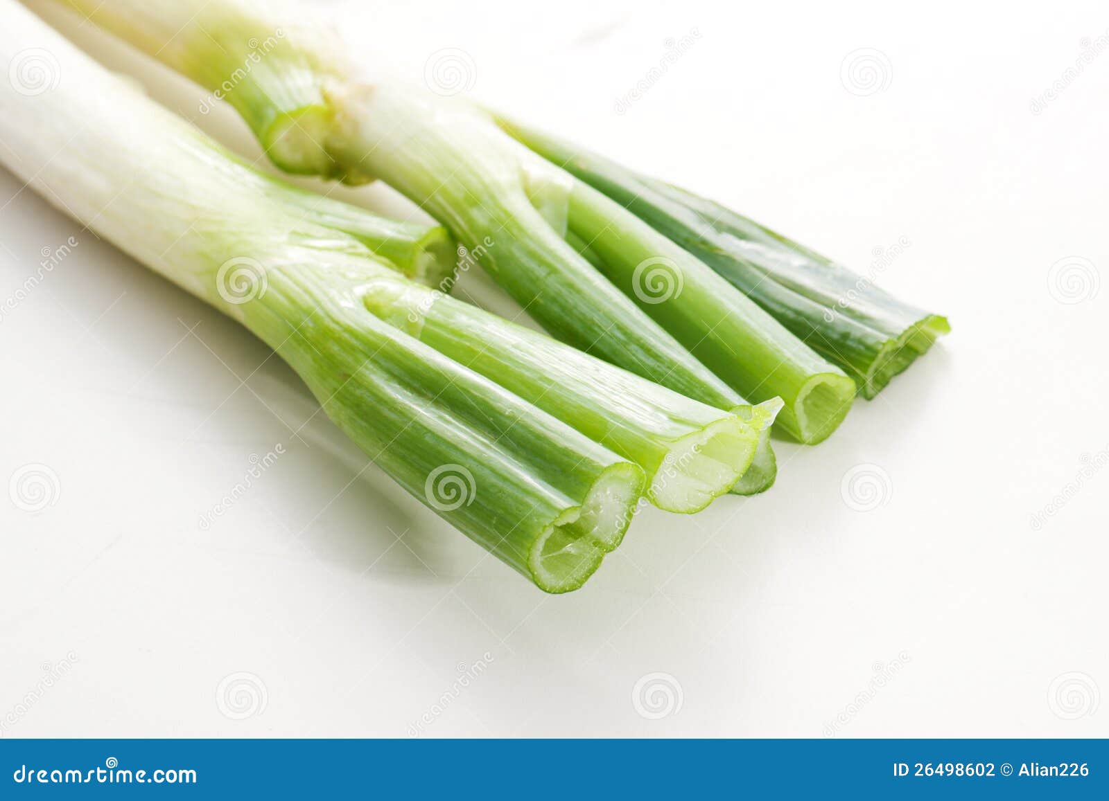 Scallion stock photo. Image of healthiness, diet, spice - 26498602