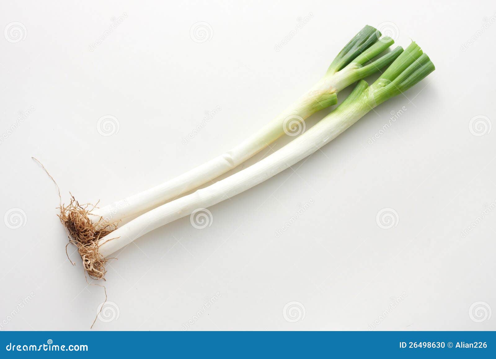 Scallion stock photo. Image of eating, shallot, diet - 26498630