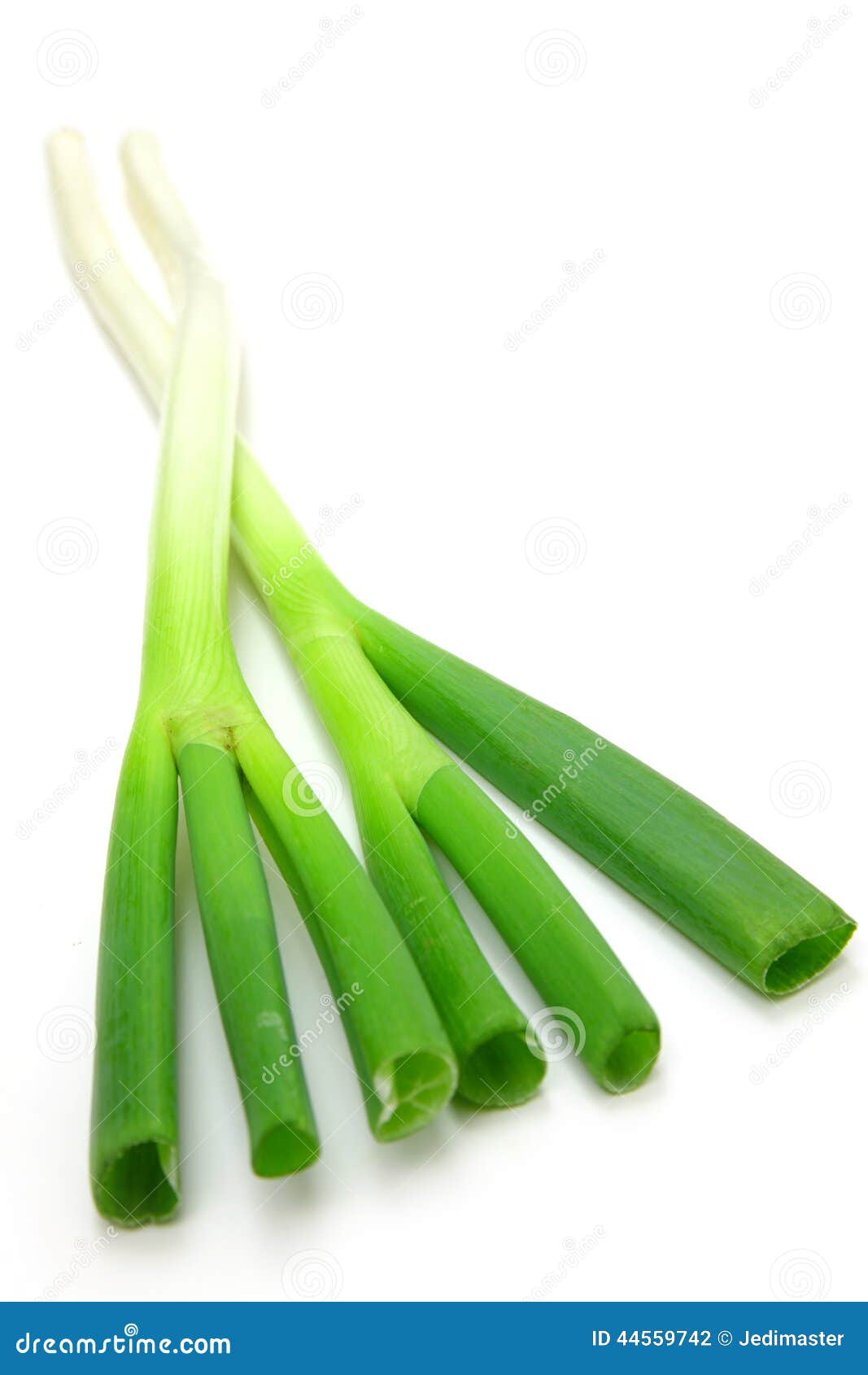 Scallion stock foto. Image of vegetariër, plantaardig - 44559742