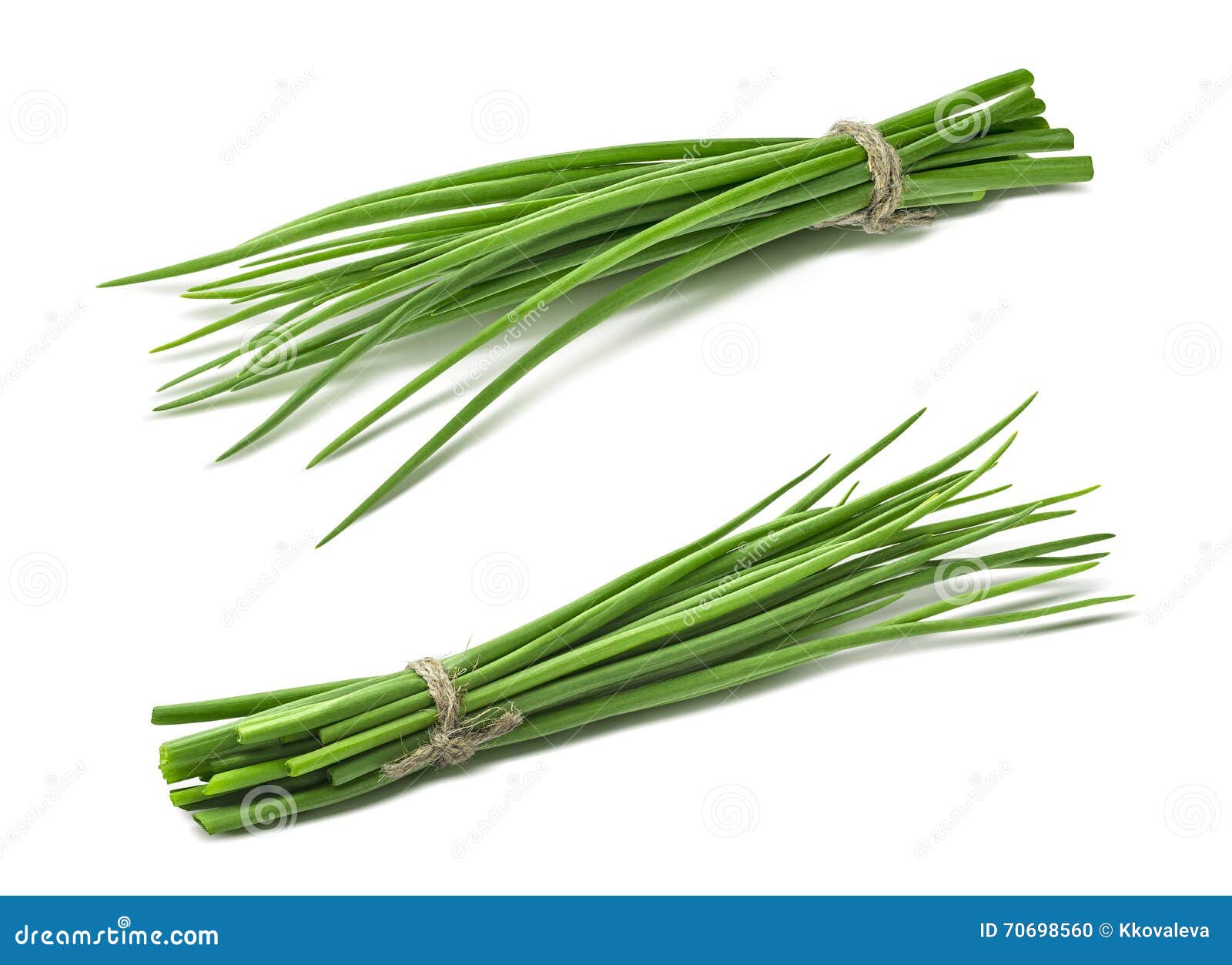 Scallion Green Spring Onion Bunch Double Isolated Stock Photo - Image ...