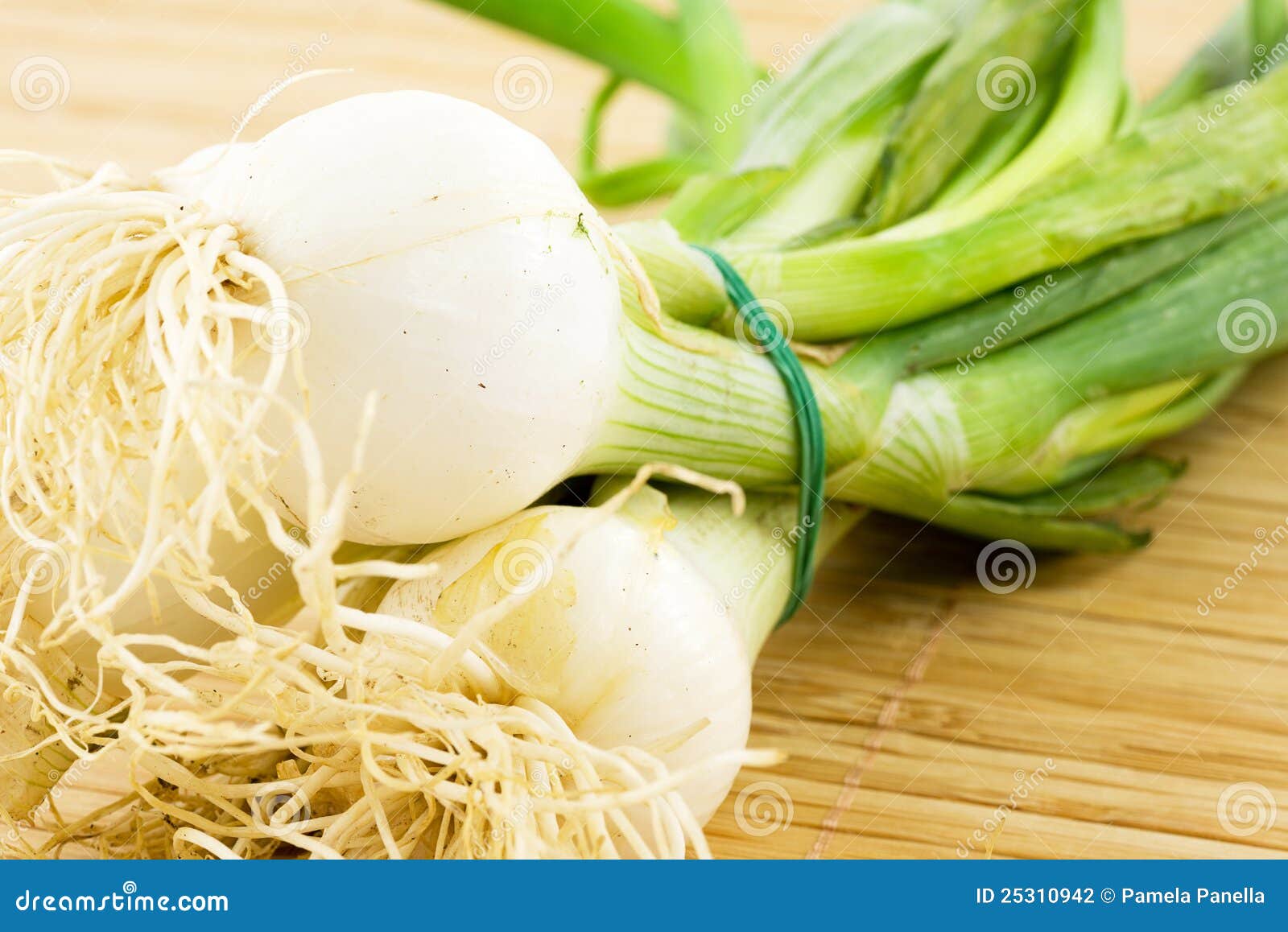 Scallion, leek stock photo. Image of food, ingredient - 25310942