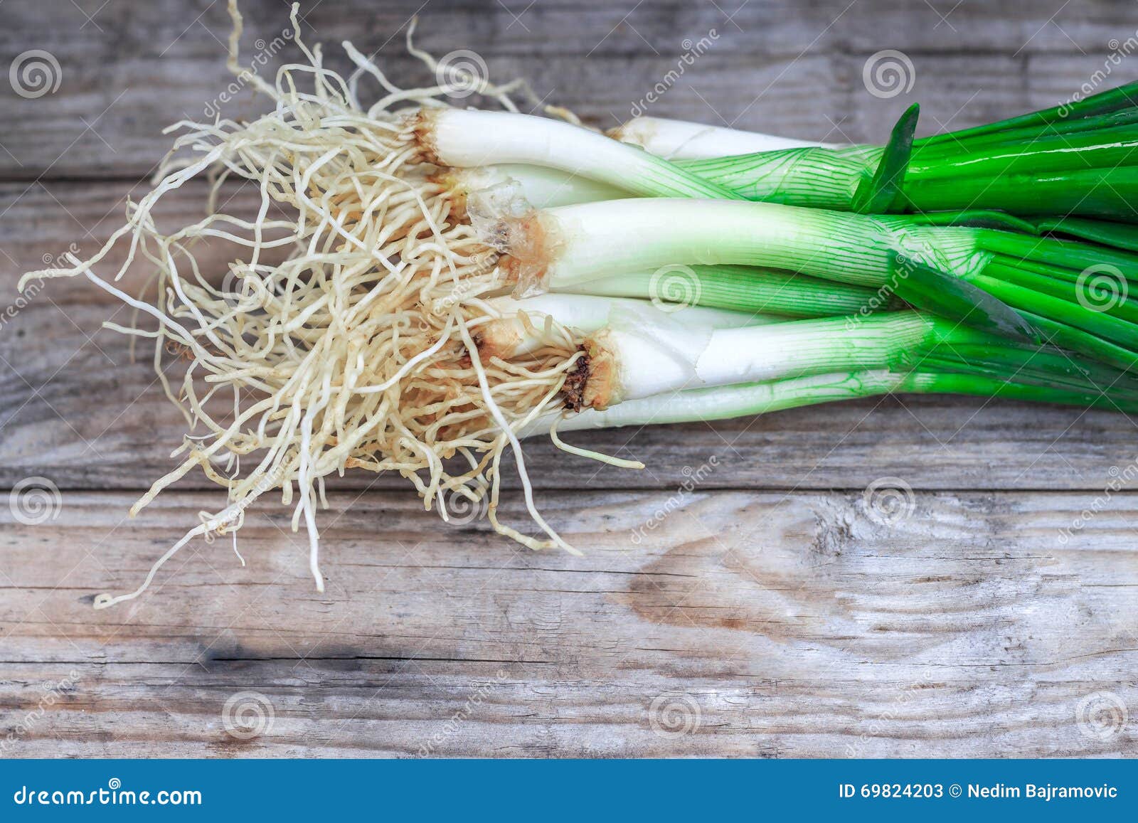 Scallion Root Ends Stock Photos - Free & Royalty-Free Stock Photos from ...