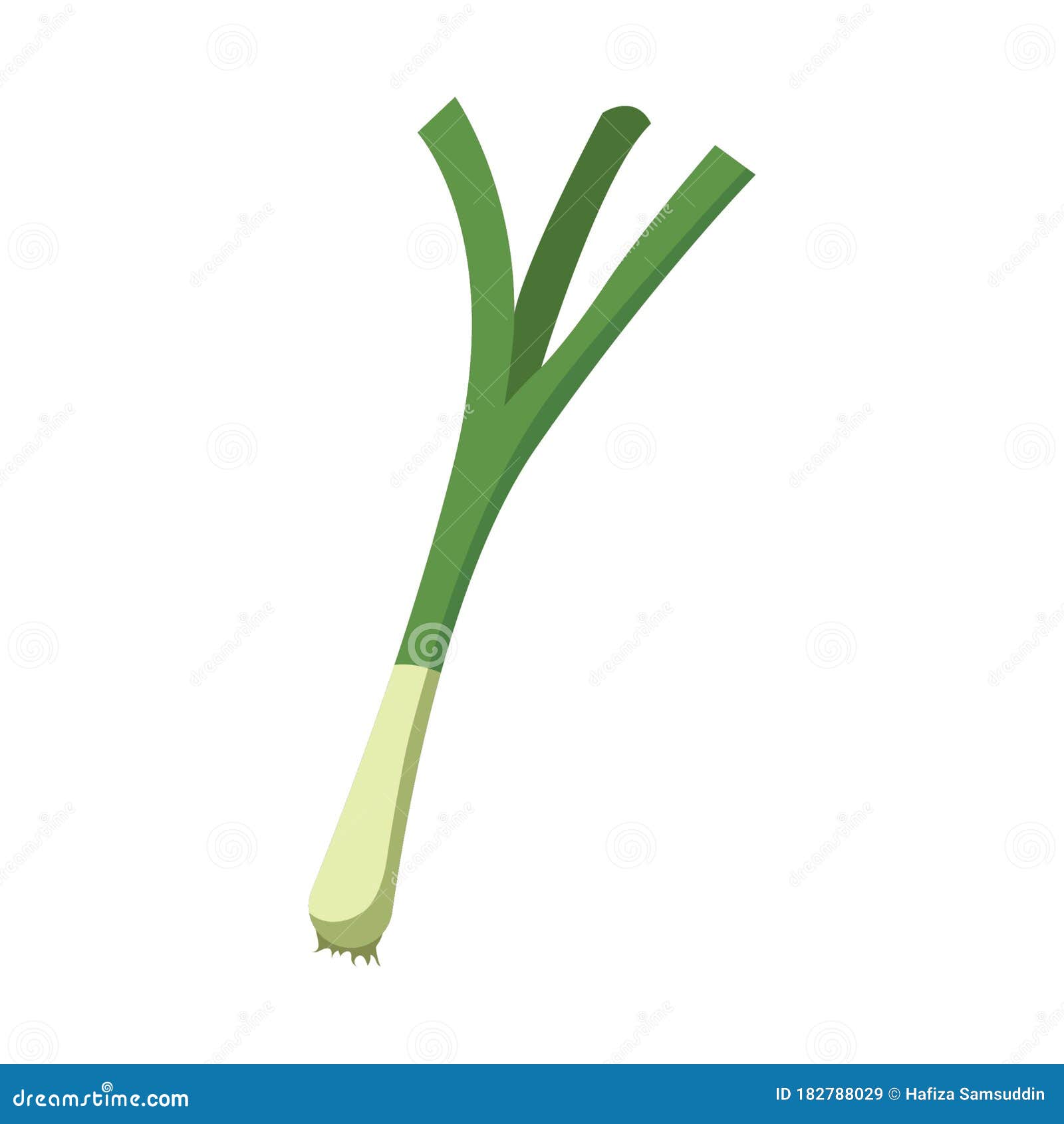 Scallion Cartoon Vector | CartoonDealer.com #182788029