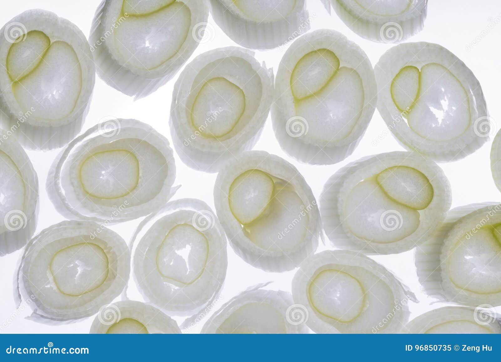 Scallion slice stock image. Image of spring, healthy - 96850735