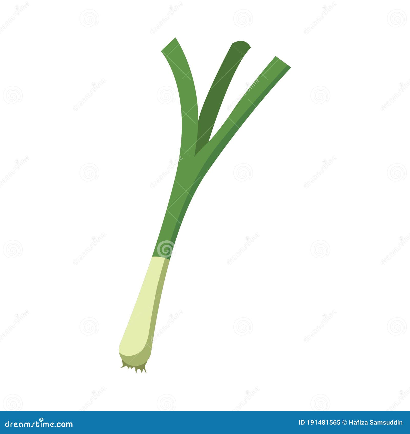 Scallion. Vector Illustration Decorative Design Stock Vector ...