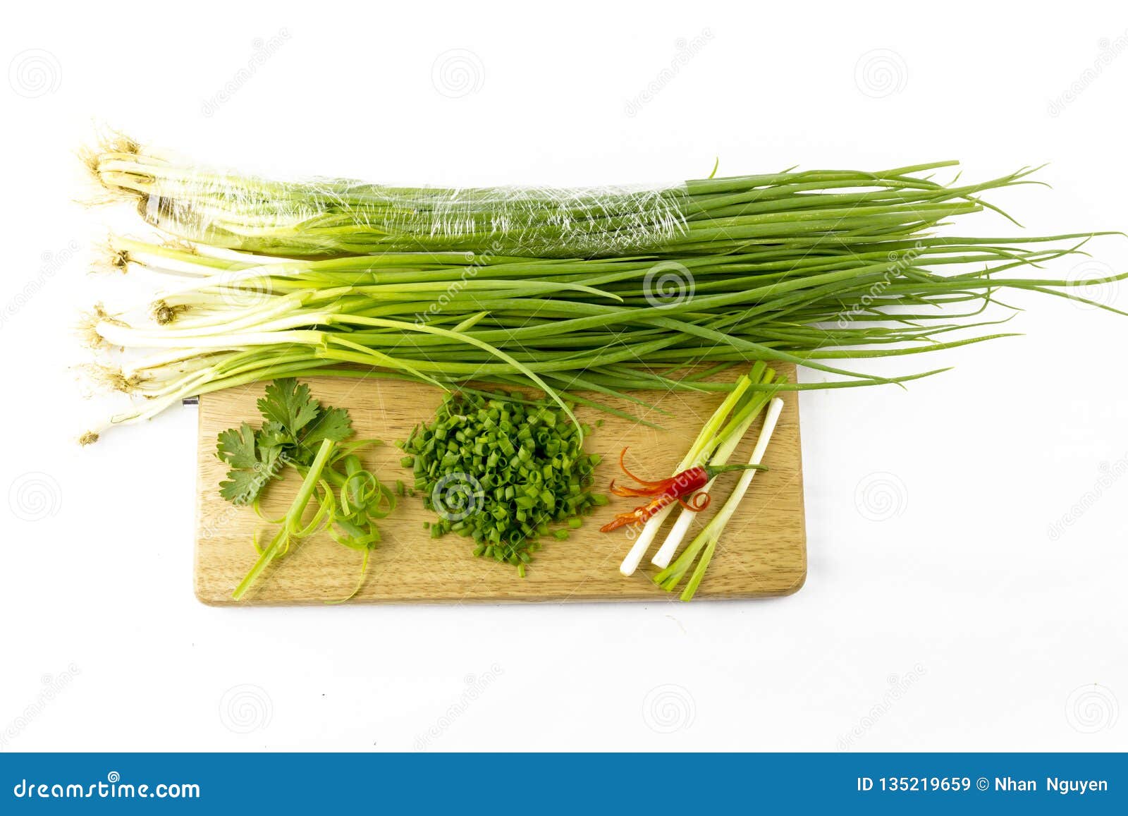 Scallion stock image. Image of scallions, green, vegetable - 135219659