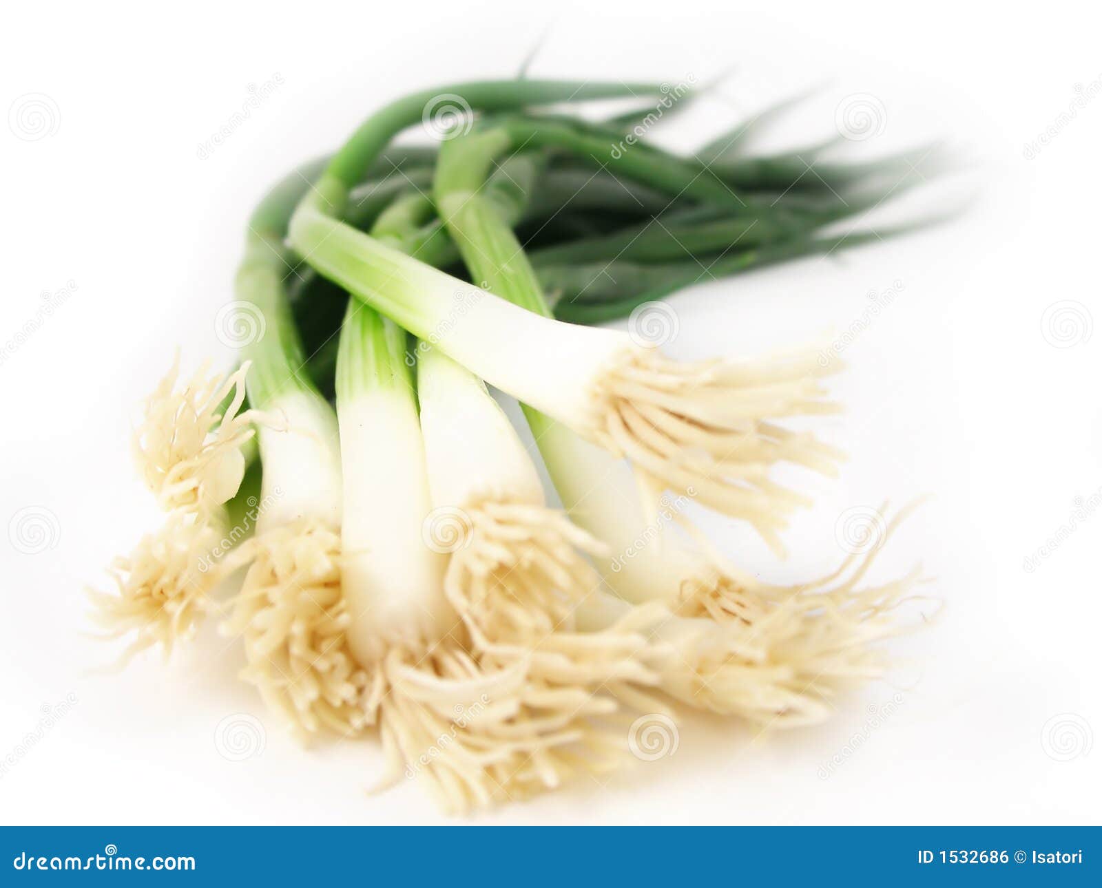 Scallions stock photo. Image of isolated, food, asian - 1532686