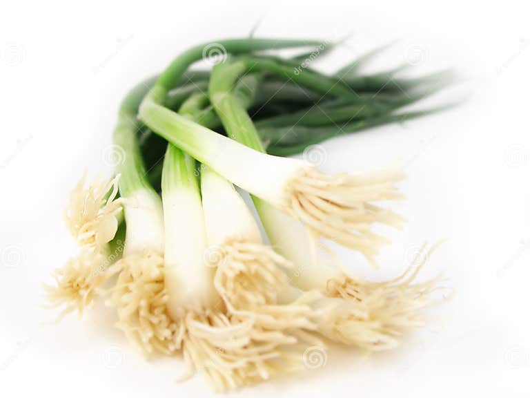 Scallions stock photo. Image of isolated, food, asian - 1532686
