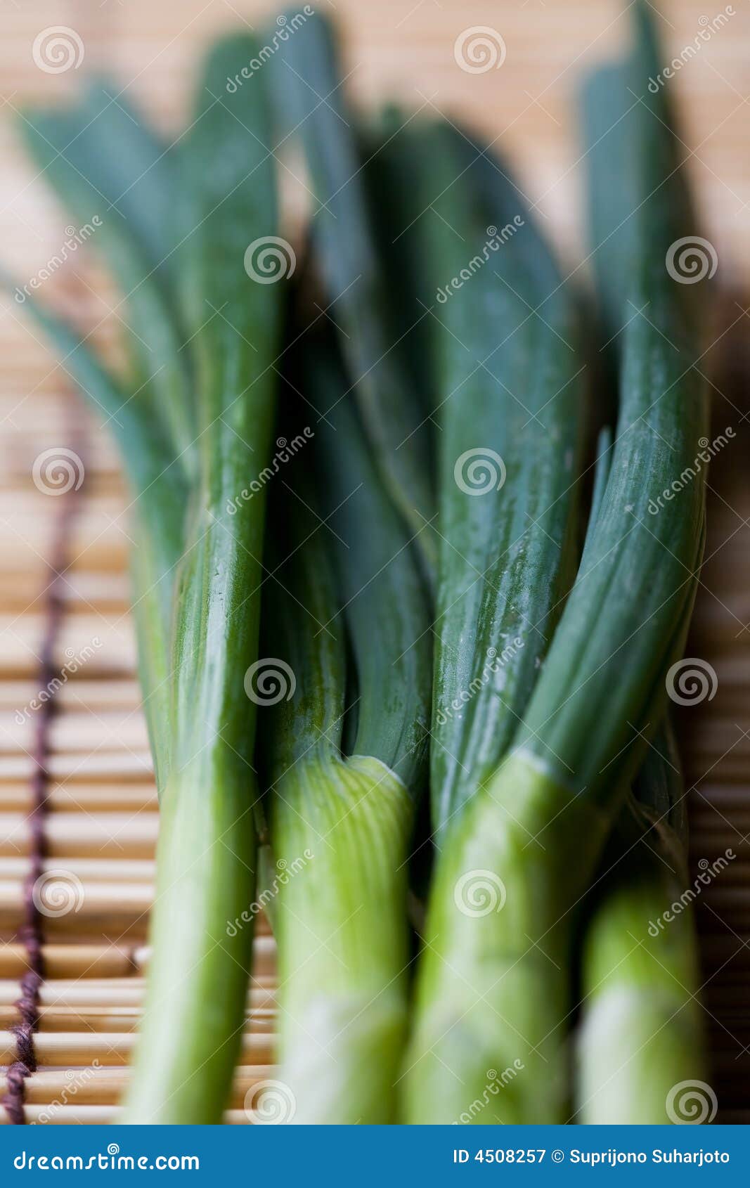 Scallions stock image. Image of fresh, asian, produce - 4508257