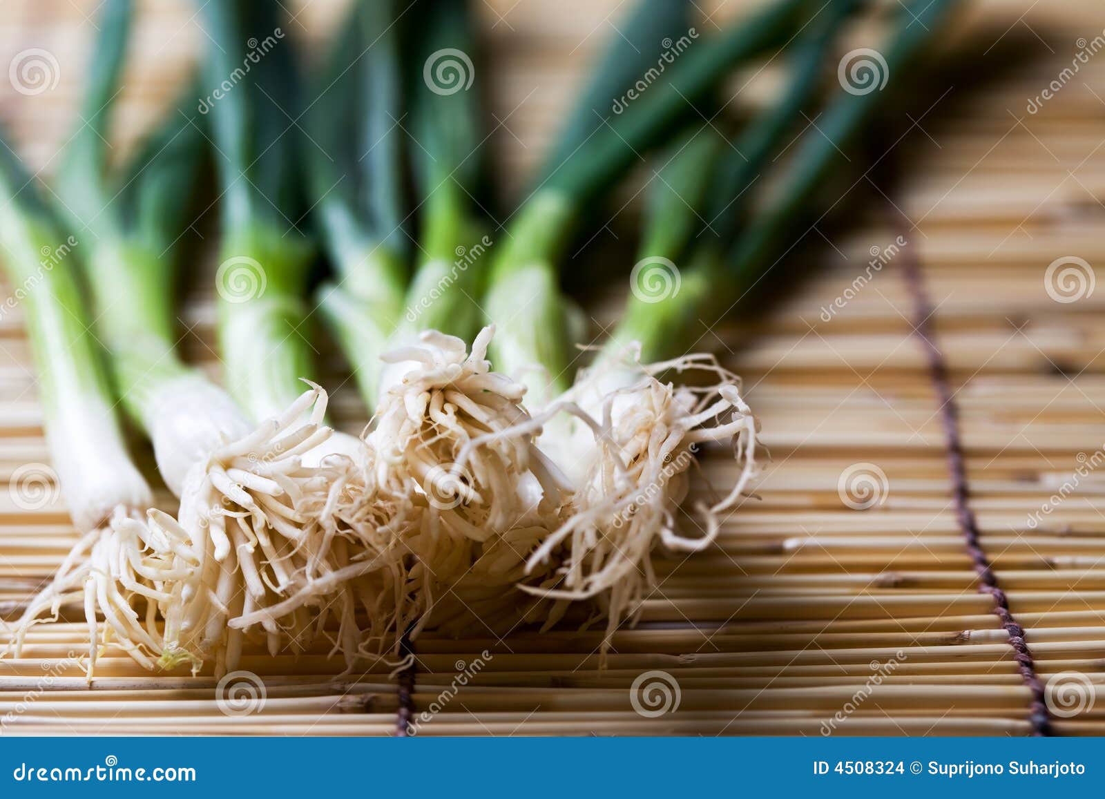 Scallions stock photo. Image of produce, garnish, cooking - 4508324