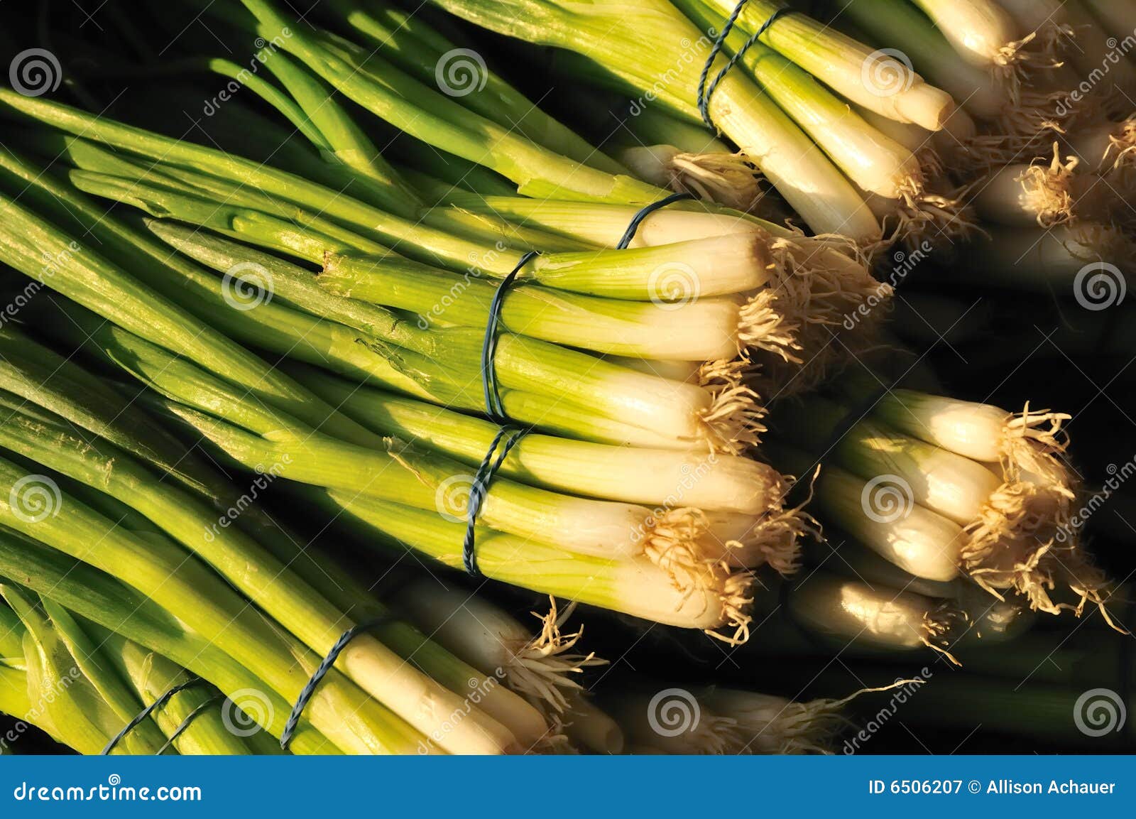 Scallions stock image. Image of fresh, diet, farmers, salad - 6506207