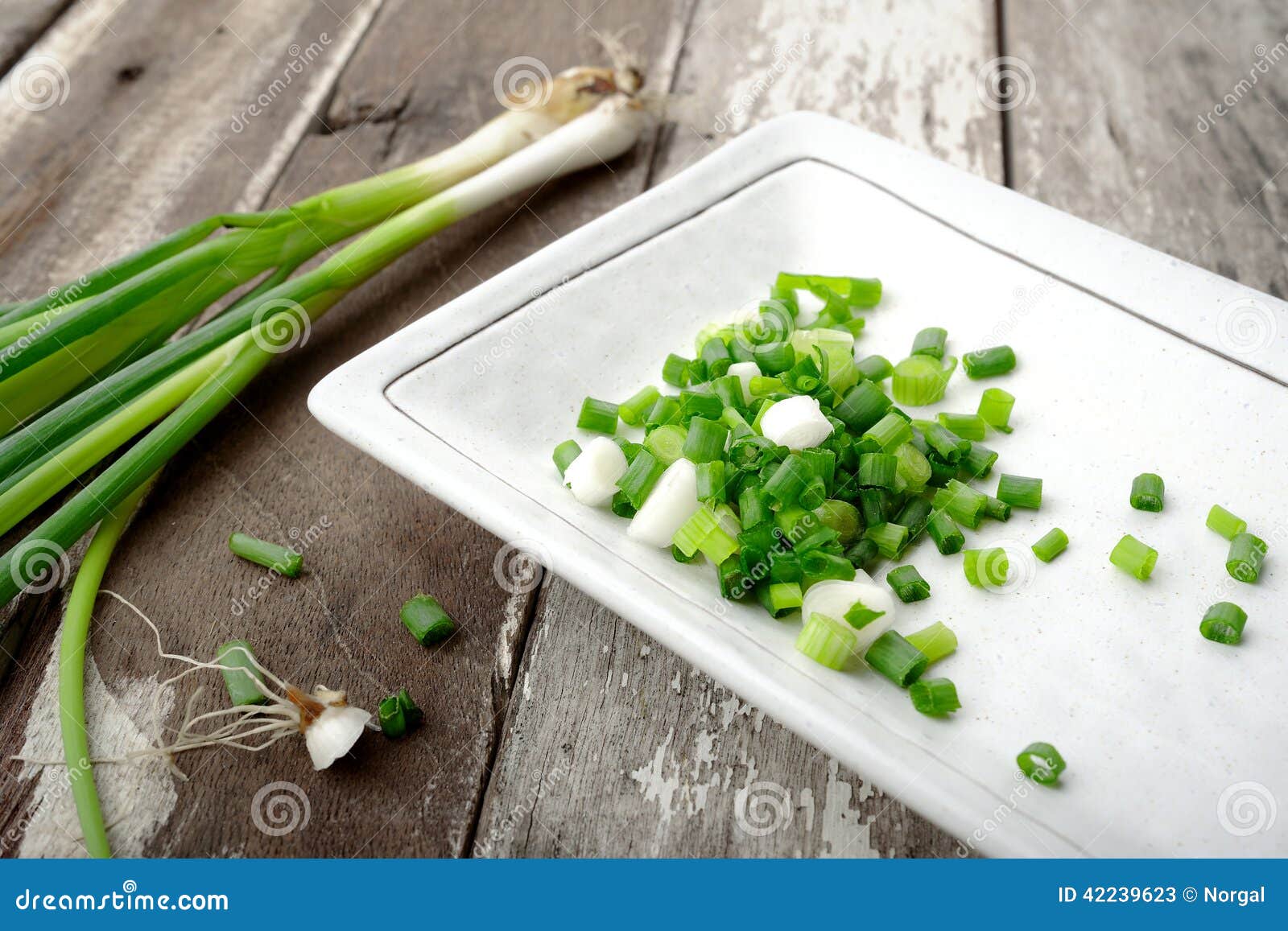 Scallions stock image. Image of sliced, nature, agriculture - 42239623