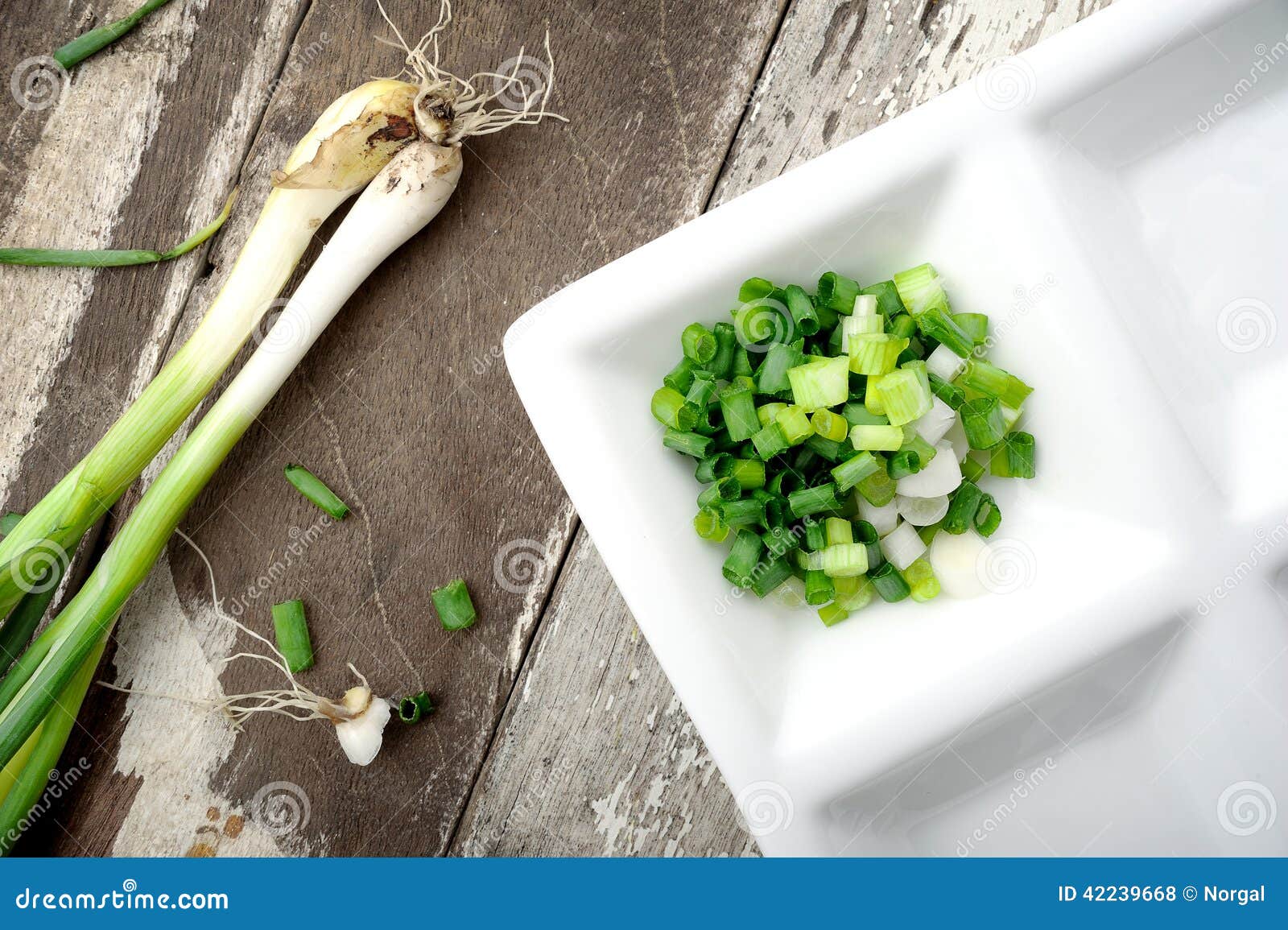 Scallions stock photo. Image of spice, agriculture, shallot - 42239668