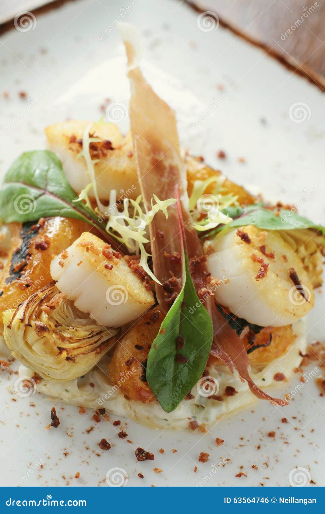 Scallop appetizer starter stock photo. Image of seafood - 63564746