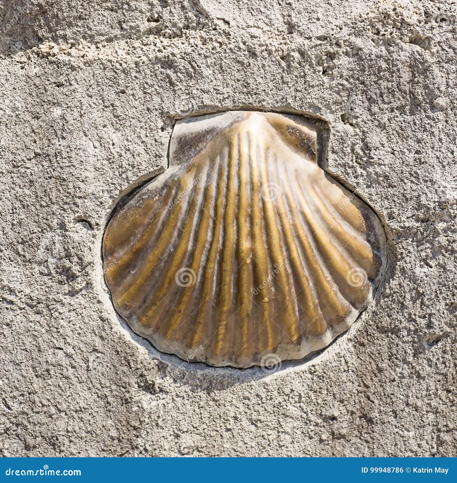 Scallop As a Symbol of Pilgrims Stock Photo - Image of scallop, trail ...