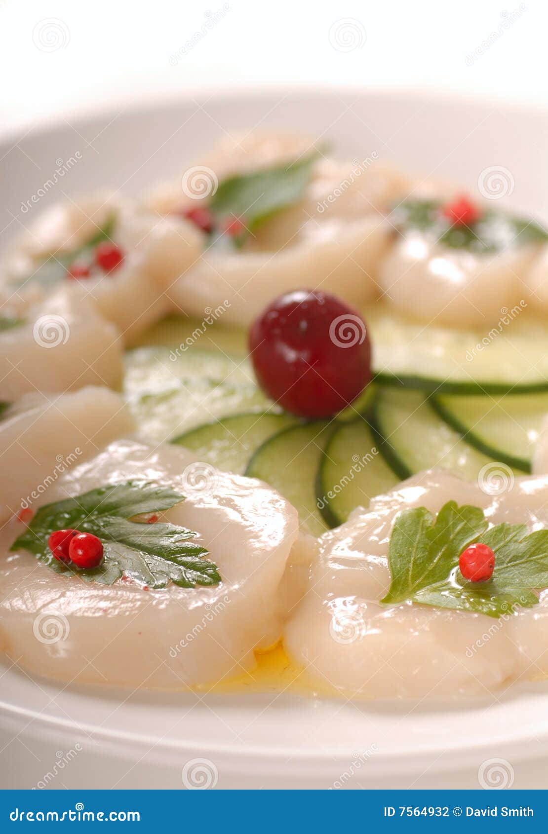 Scallop carpaccio stock photo. Image of nutritious, protein - 7564932