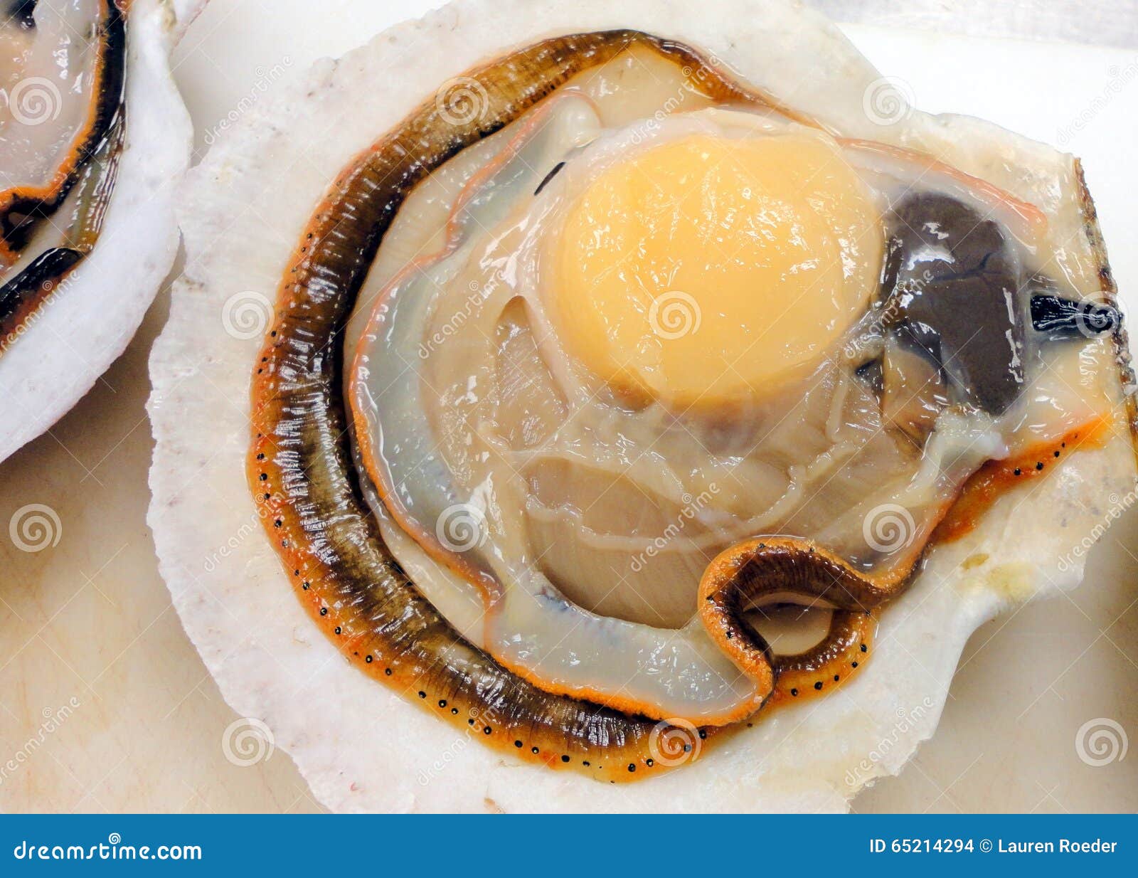 Scallop on half shell stock photo. Image of local, shell - 65214294