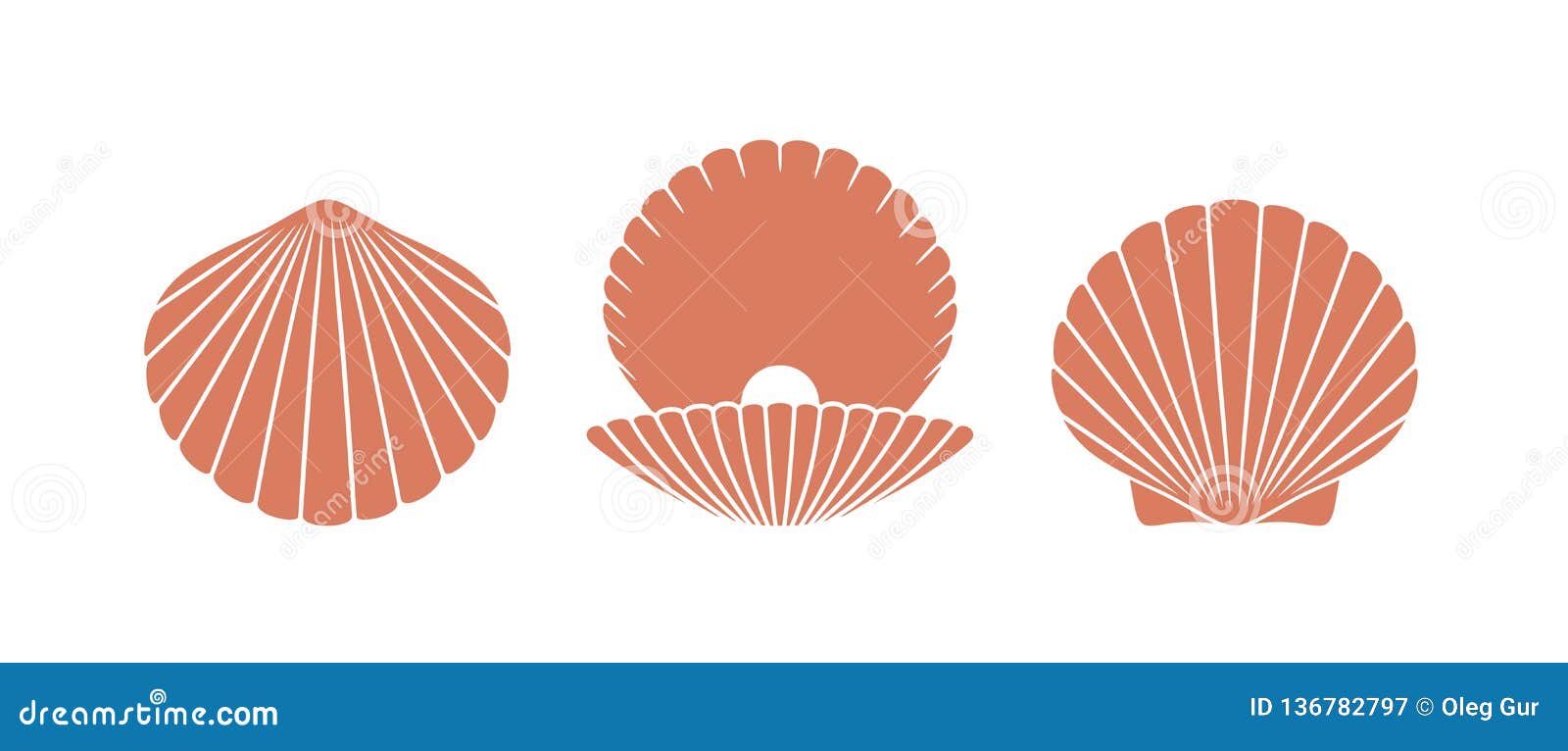Scallop Logo. Hand Drawn Vector Illustration Isolated On White ...