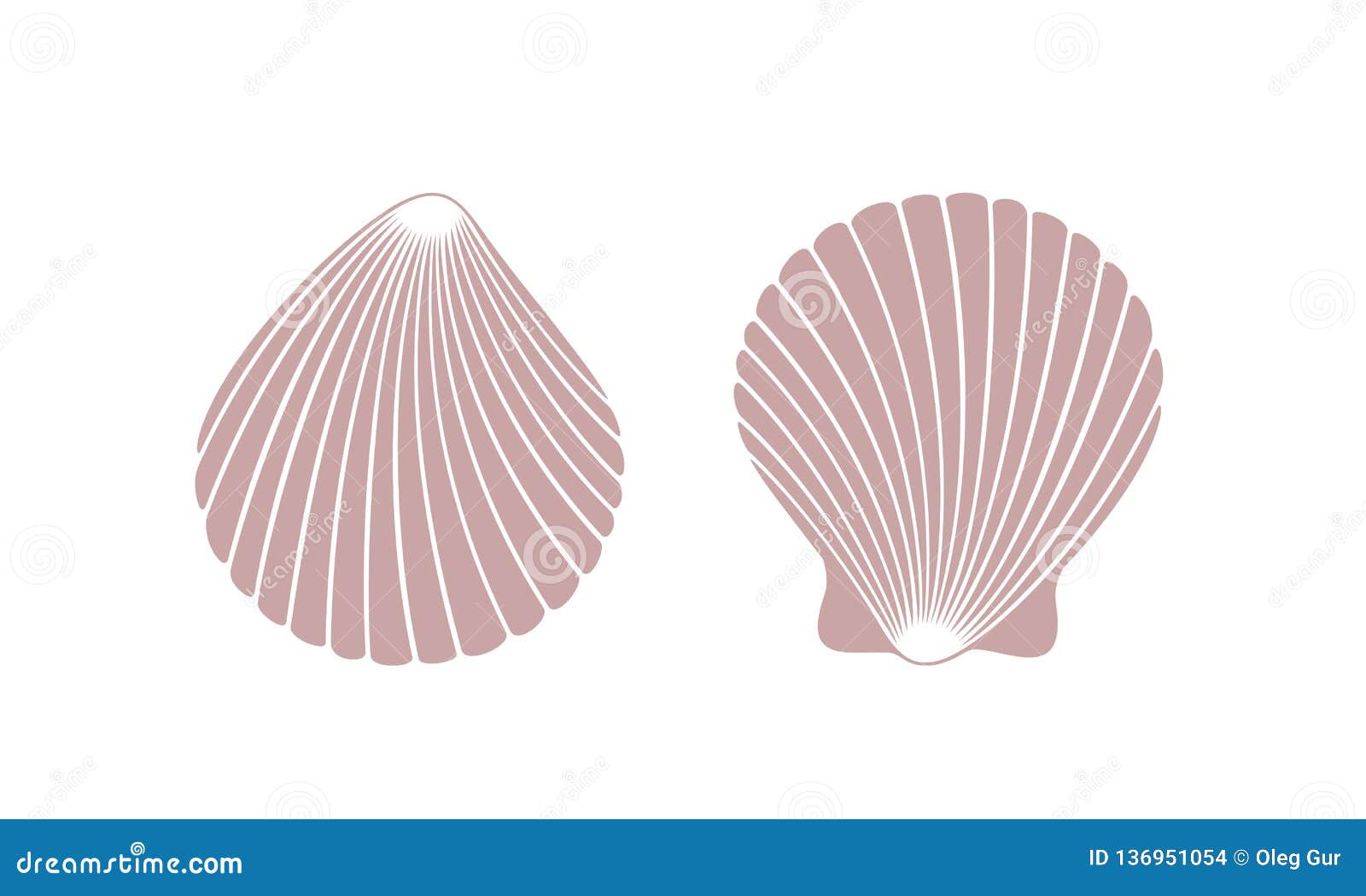 Scallop Logo. Hand Drawn Vector Illustration Isolated On White ...