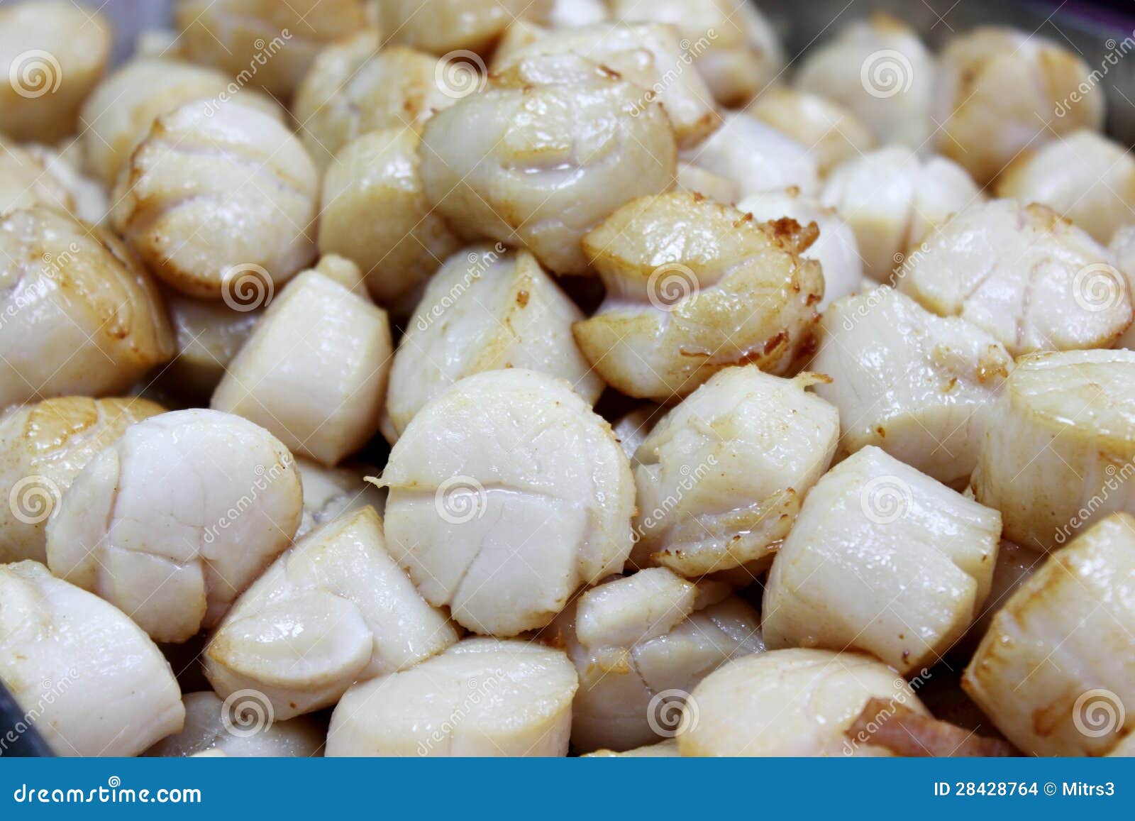 Scallop meat stock photo. Image of meat, fruit, dinner - 28428764