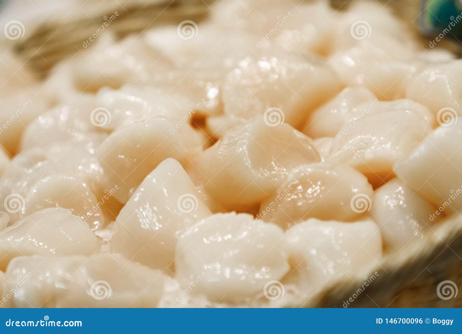 Scallop meat stock photo. Image of cuisine, gourmet - 146700096