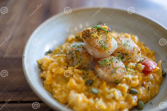 Scallop risotto dish stock photo. Image of lunch, sauce - 254984328