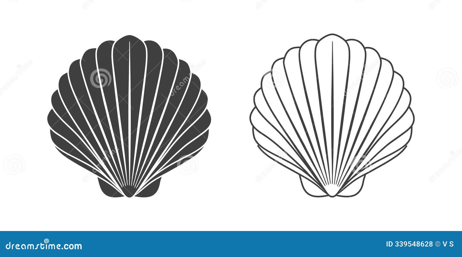 Seashell Logo. Ocean Animals Premium Quality Graphic Outline Symbols ...