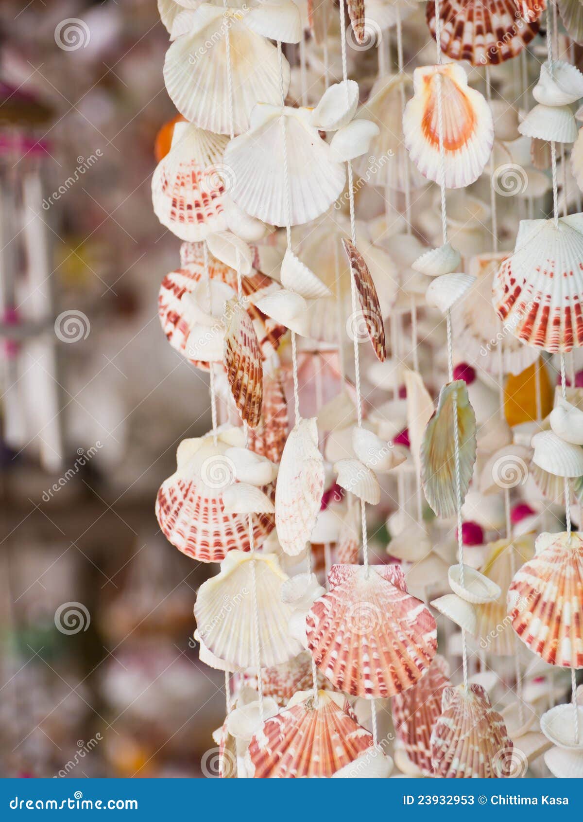 Scallop shell mobile stock image. Image of thailand, mobile - 23932953