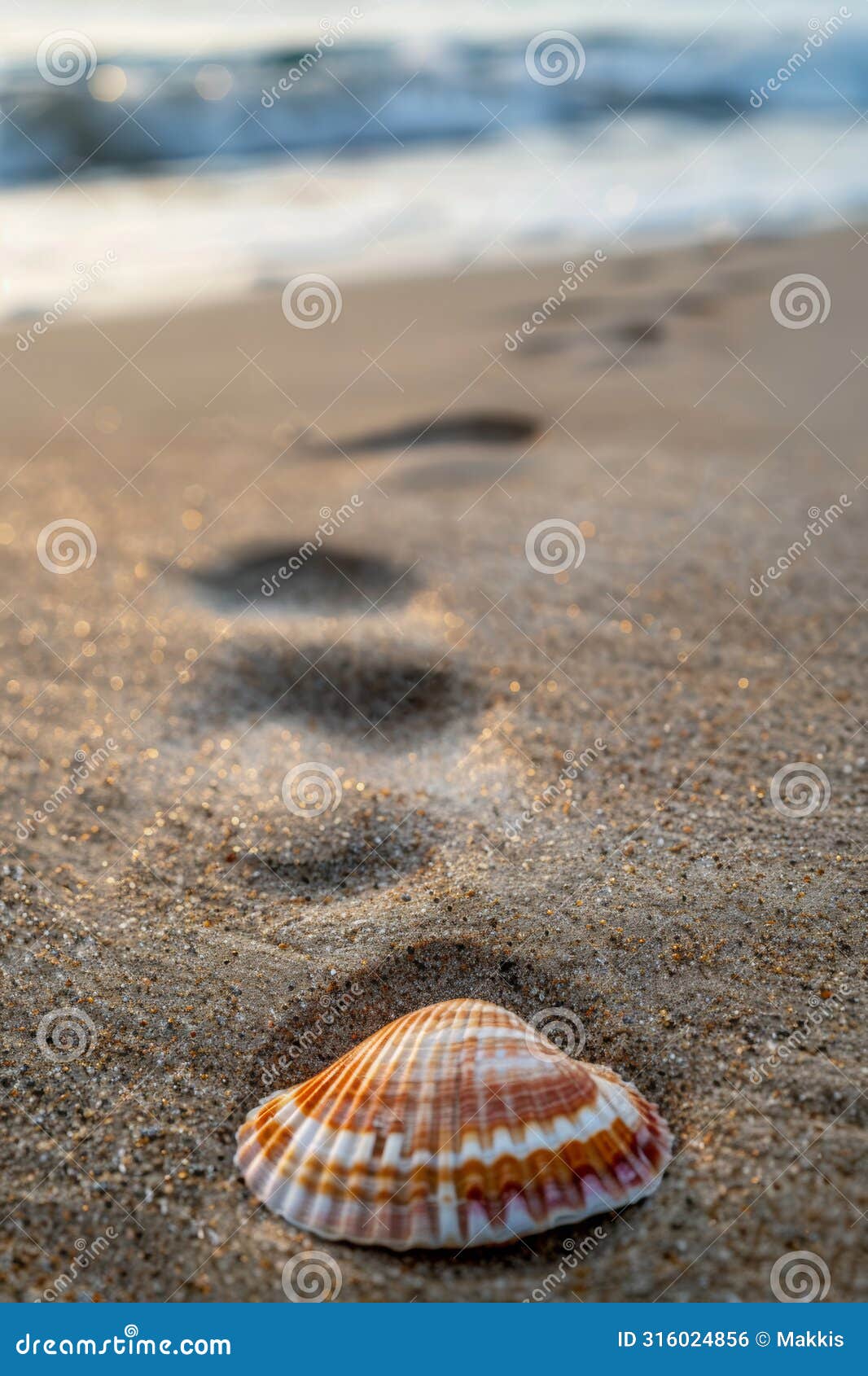 Scallop Shell on the Sand Beach, Blurred Background Stock Illustration ...