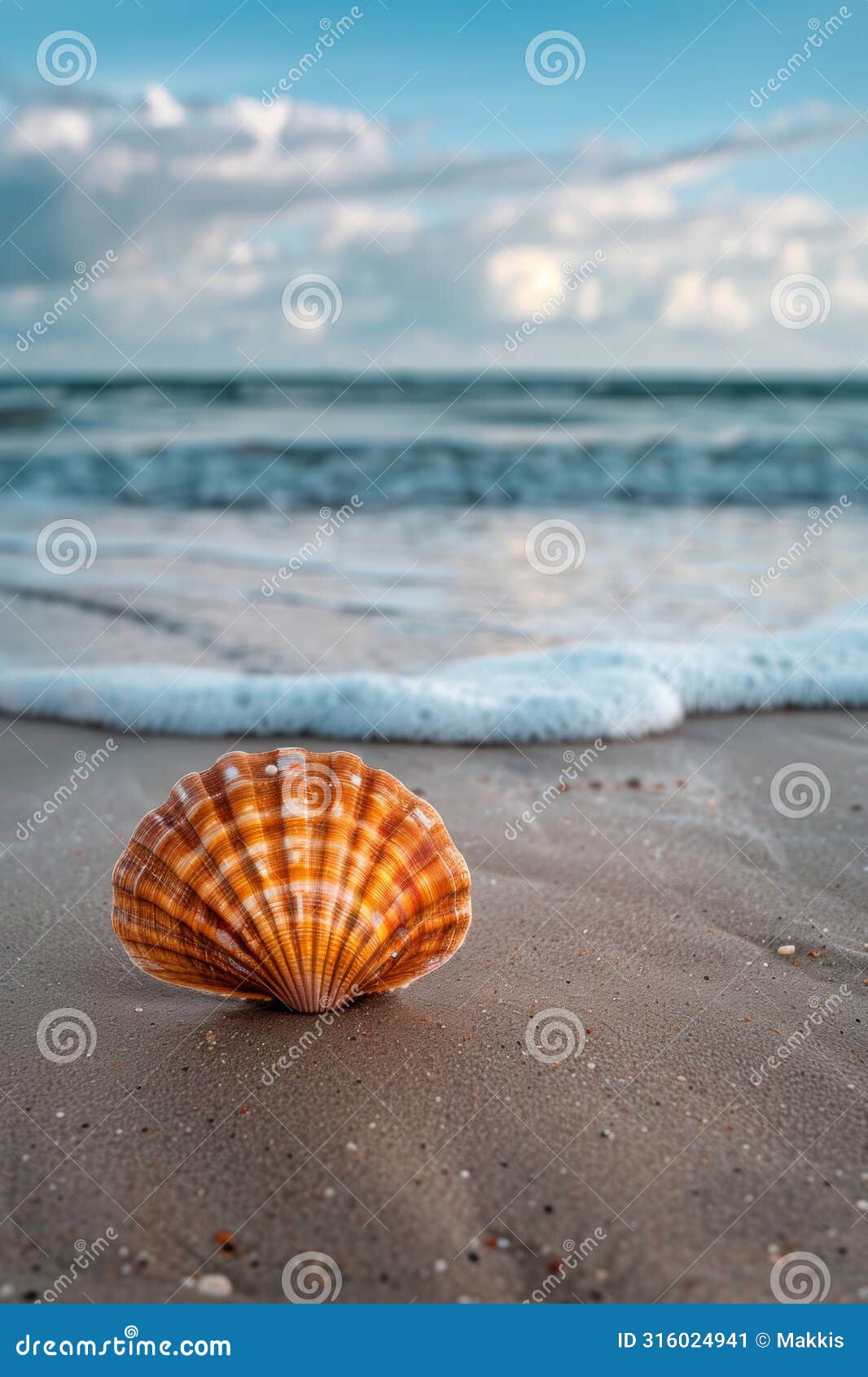 Scallop Shell on the Sand Beach, Blurred Background Stock Illustration ...