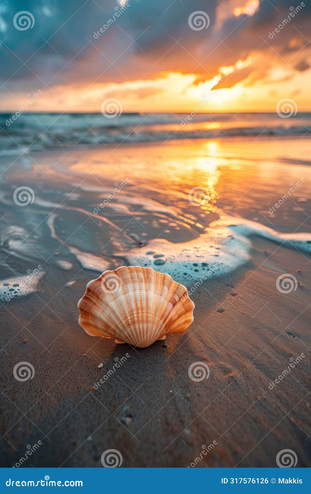 Scallop Shell on the Sand Beach at Sunset Stock Illustration ...