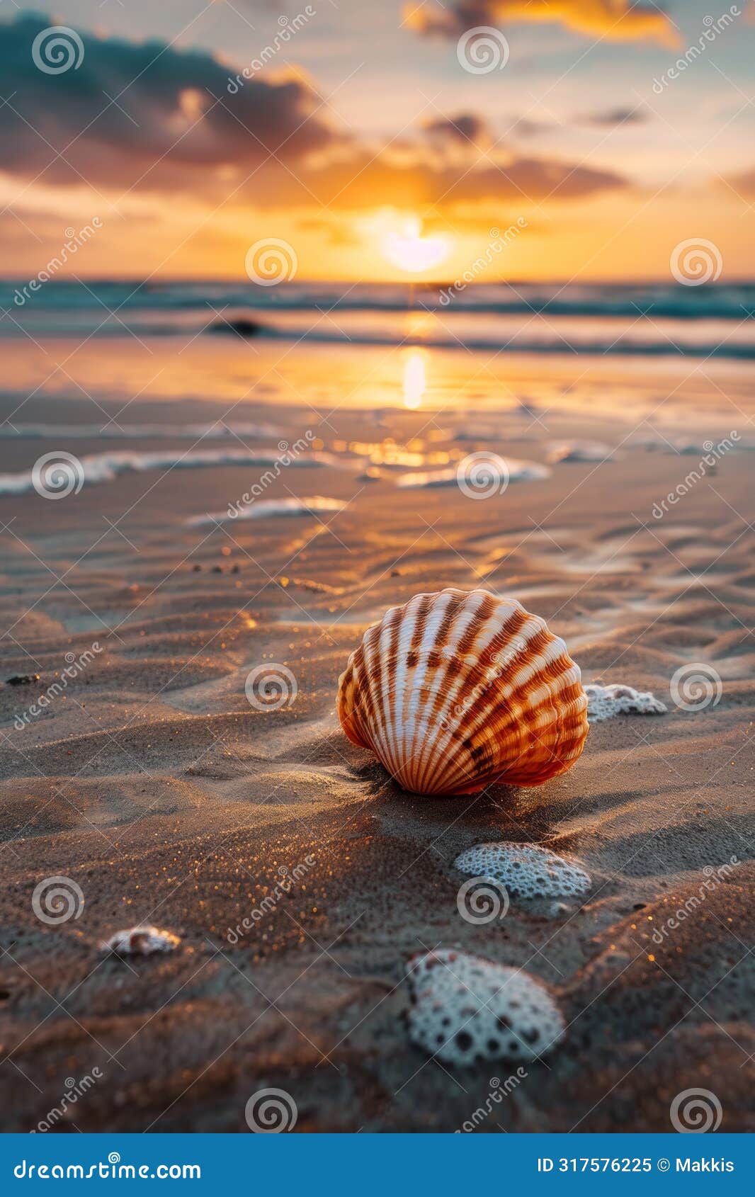 Scallop Shell on the Sand Beach at Sunset Stock Illustration ...