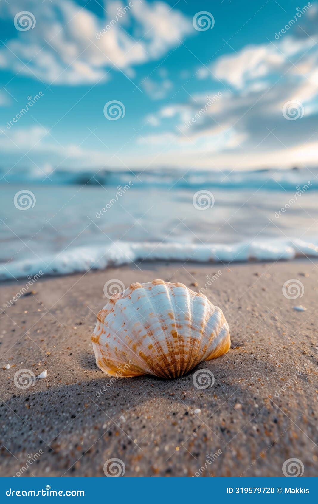 Scallop Shell on the Sand Beach Against Blurred Ocean Background Stock ...