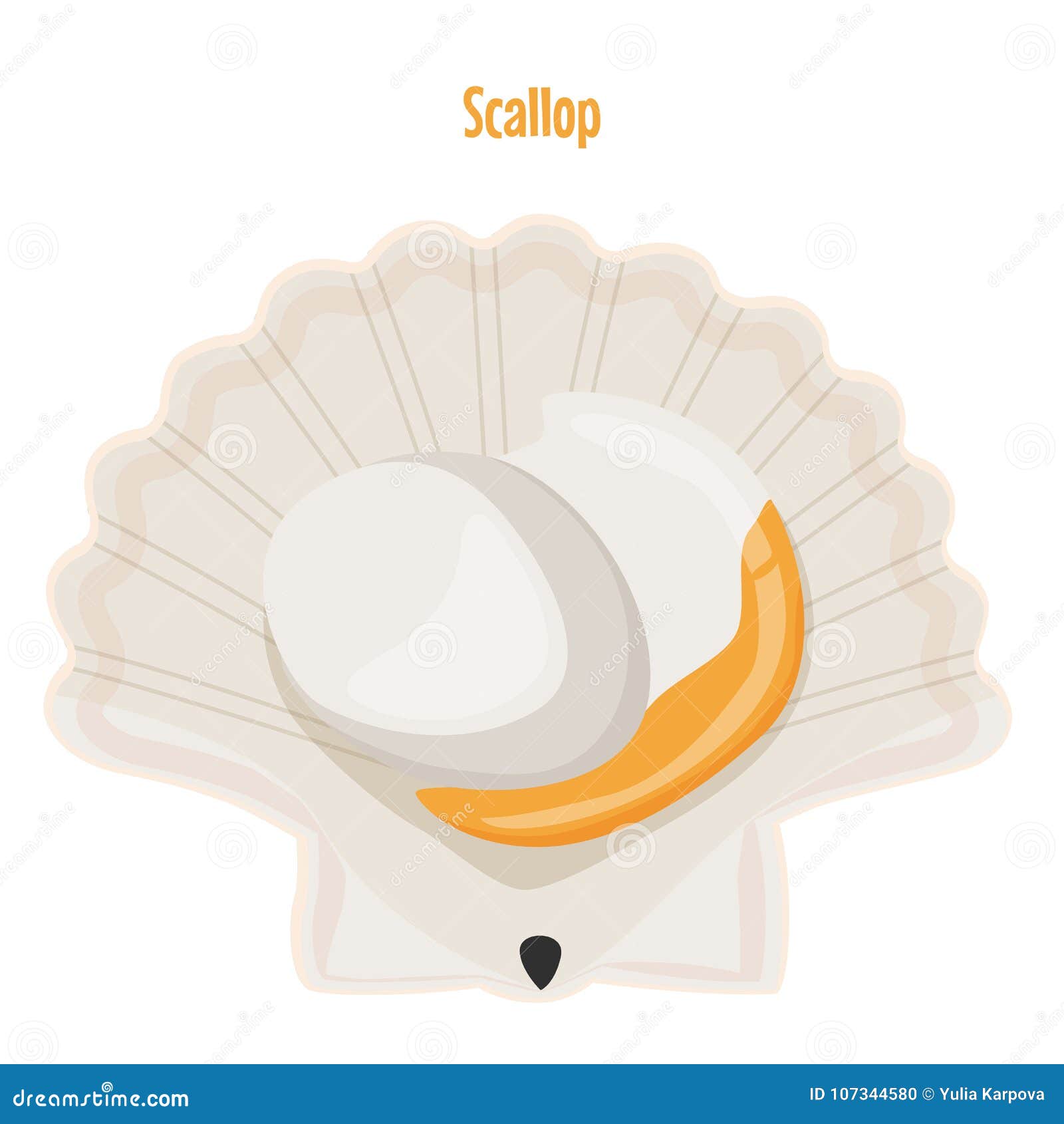 Scallop in a shell vector stock vector. Illustration of style - 107344580