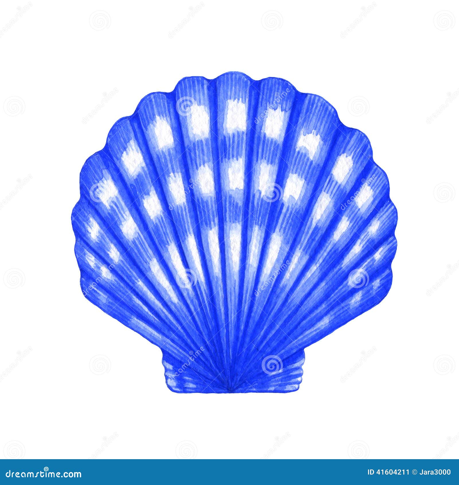 Scallop Shell - Vector Linear Full Color Zentangle Illustration - With ...