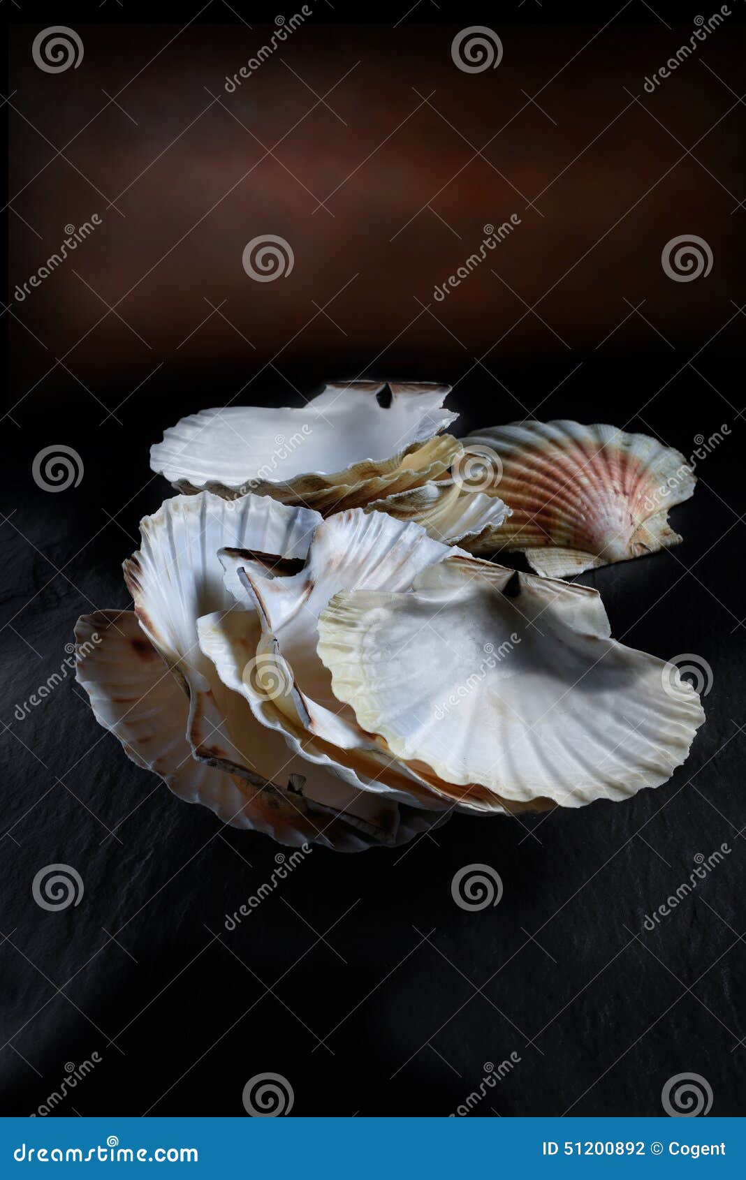 Scallop Shells And Brick Pattern Royalty-Free Stock Photo ...
