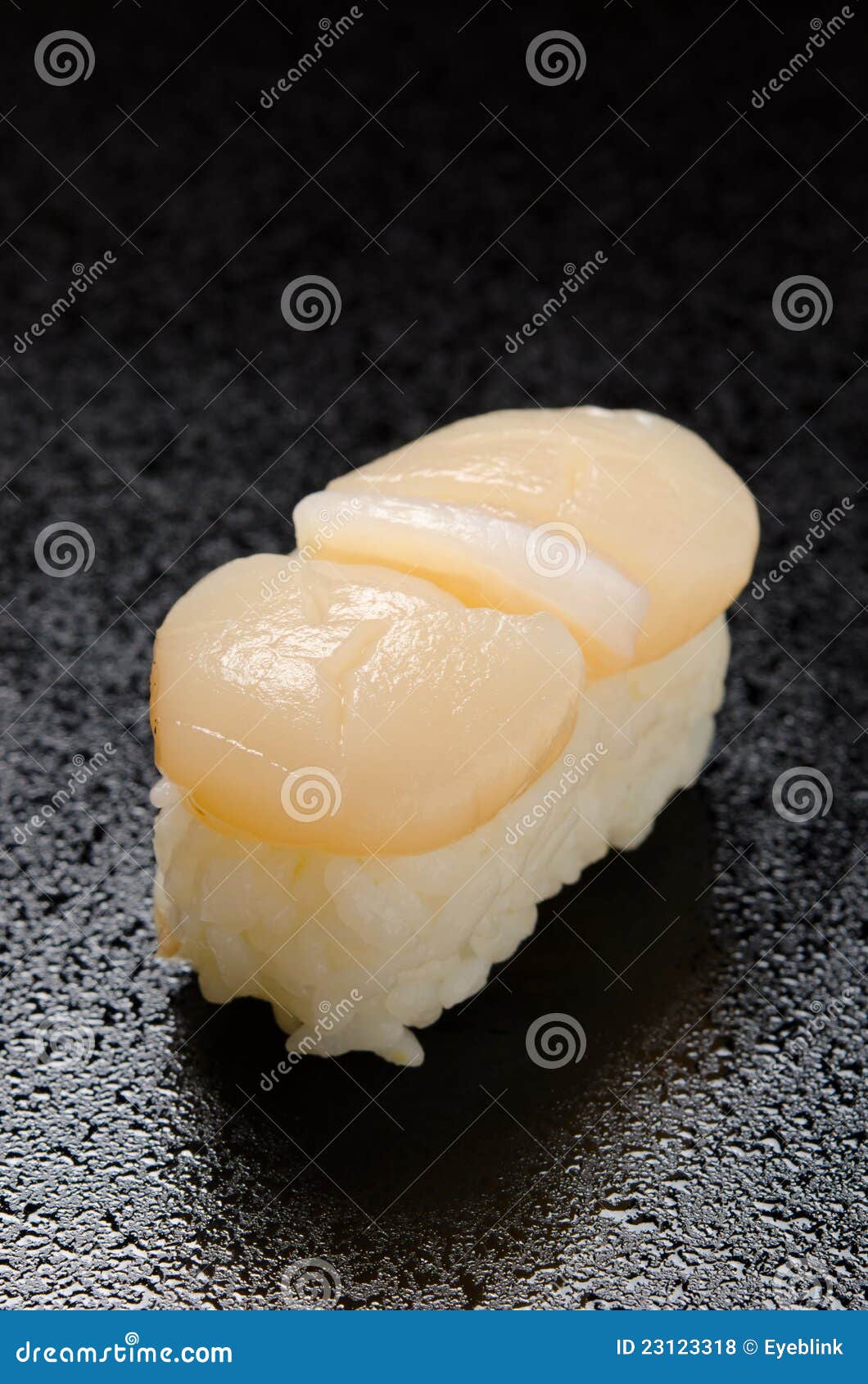 Scallop sushi stock photo. Image of seafood, soft, food - 23123318