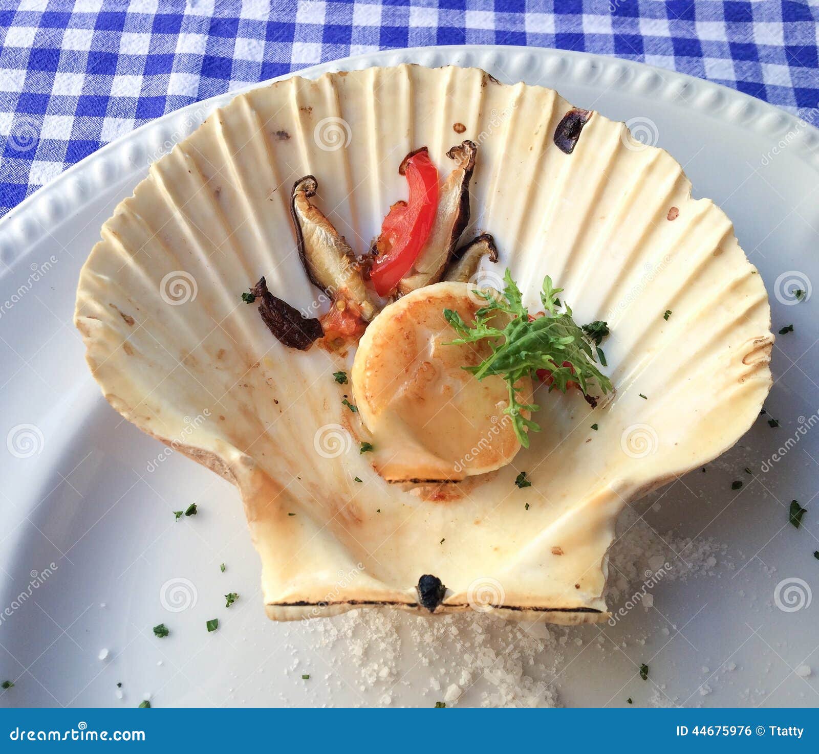 Scallop stock photo. Image of plate, prepared, seashell - 44675976