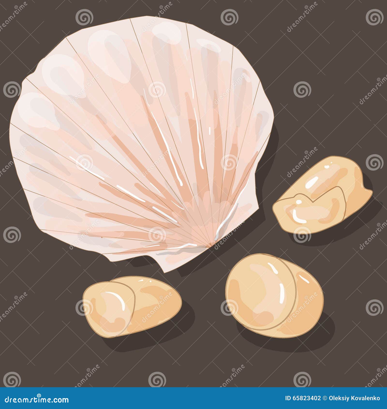 Scallop vector image stock vector. Illustration of seashell - 65823402