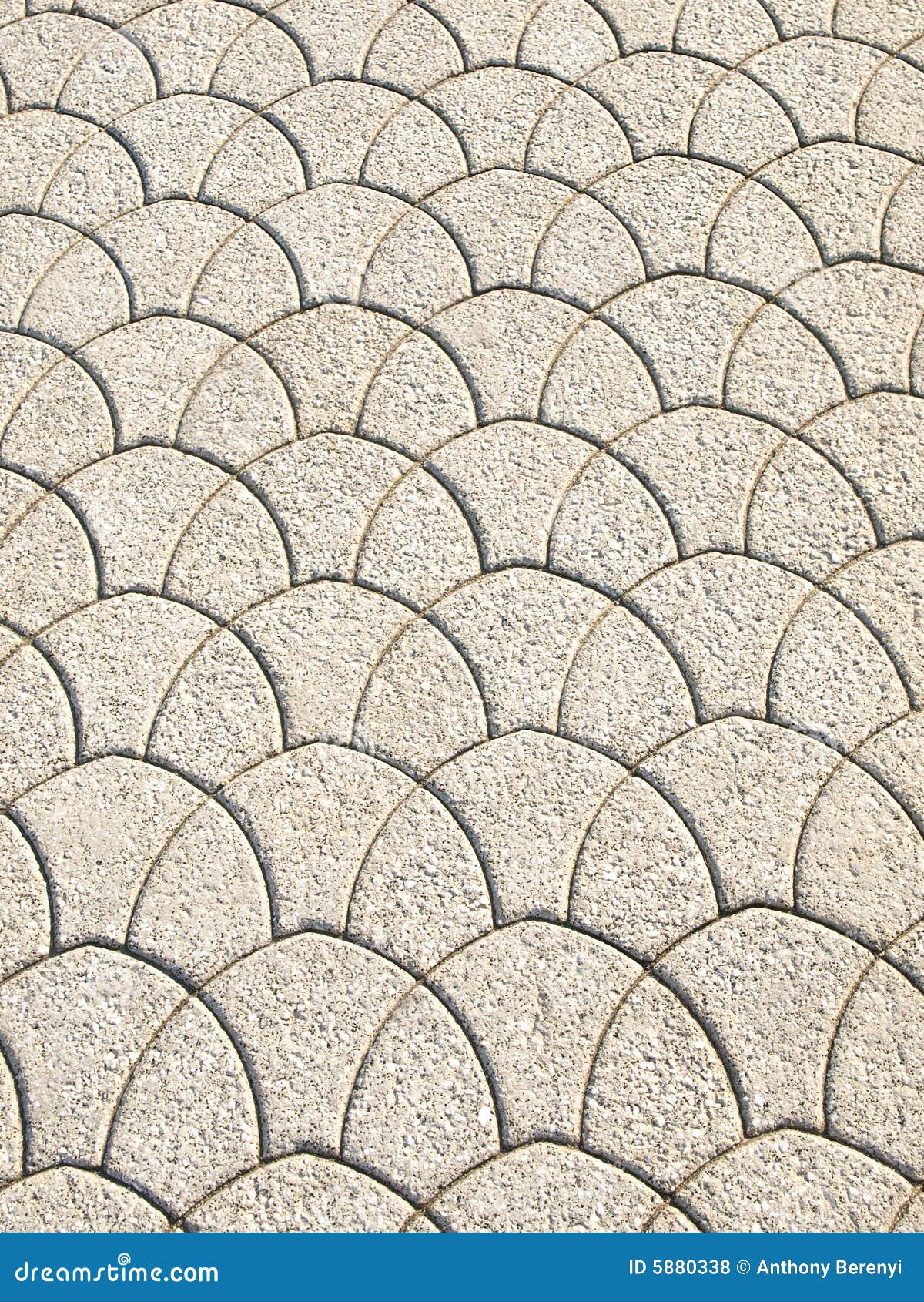 Scalloped Pattern - Walking Path Stock Photo - Image of pathway, arch ...