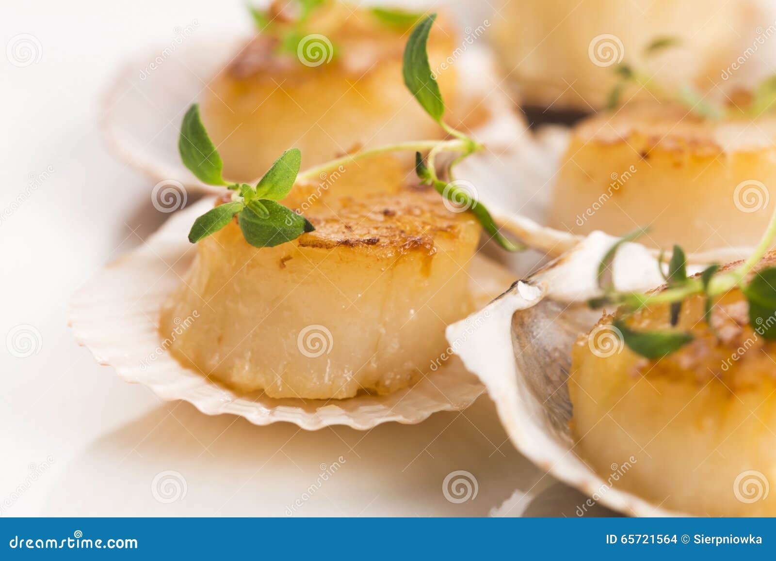 Scallops foto de archivo. Imagen de delicadeza, pescados - 65721564